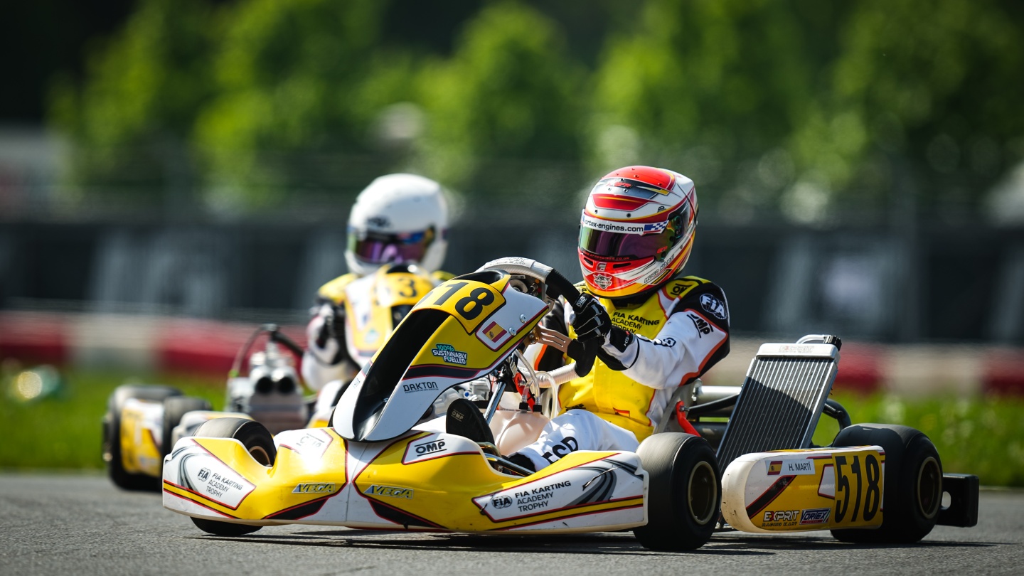 FIA Karting